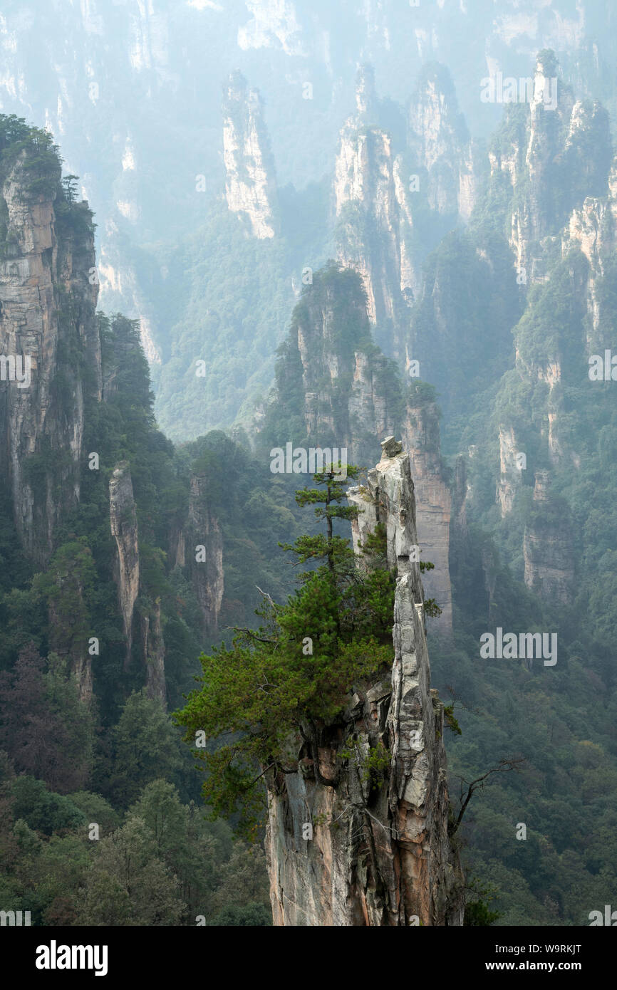 Asia, China, Chinese, Hunan Province, UNESCO, World Heritage ...