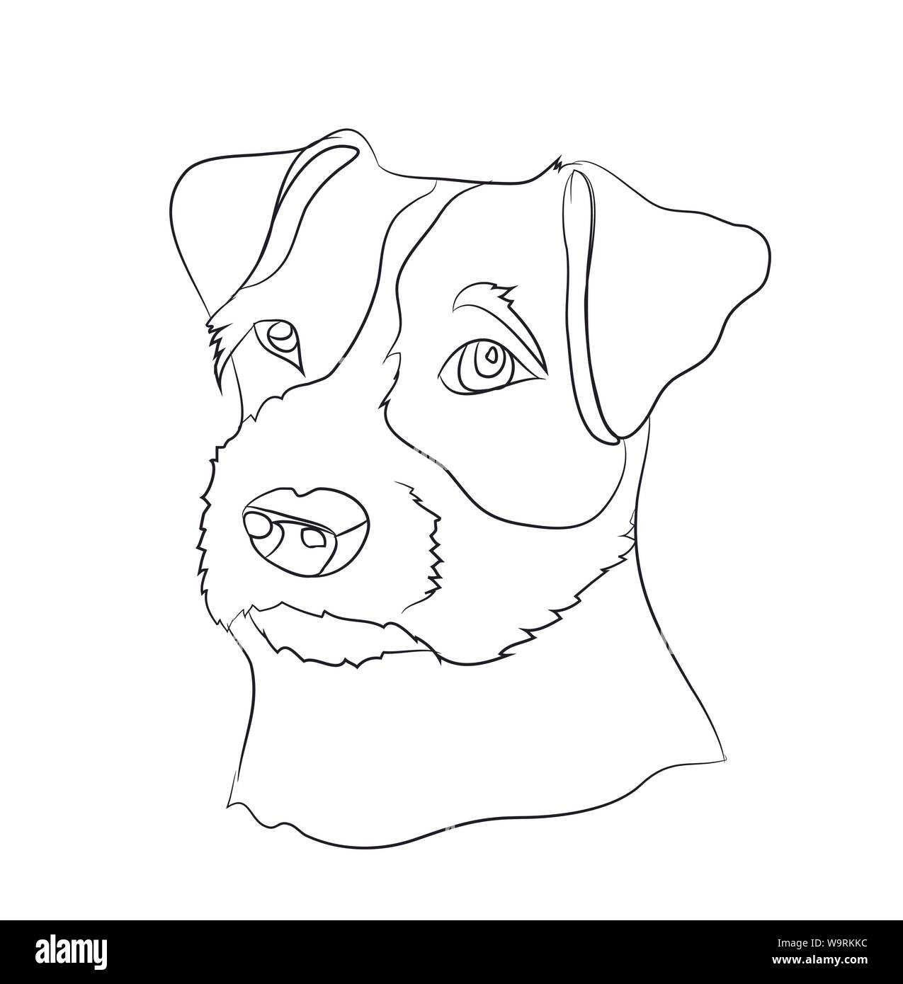 dog portrait, lines, vector, white background Stock Vector Image & Art ...
