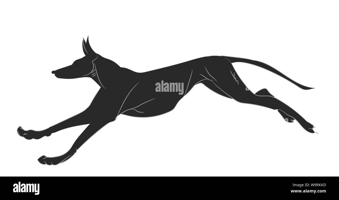 Greyhound Running Silhouette