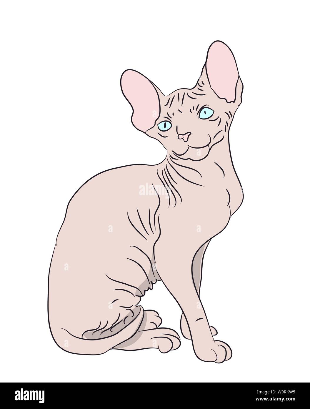 Kittens white background color Stock Vector Images - Alamy