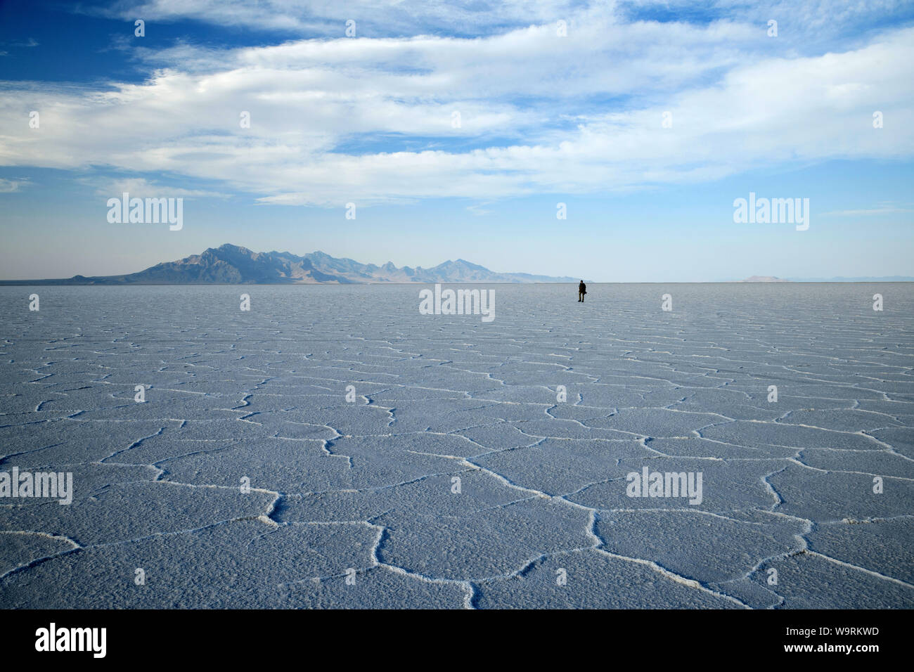 North America, American, USA, Great Basin, Utah, Bonneville Salt Flats ...