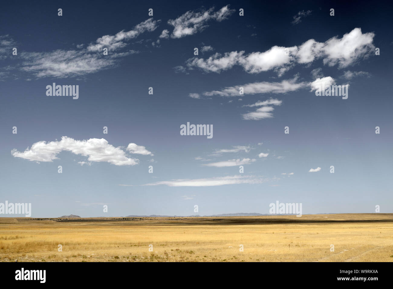 North America, American, USA, Desert Southwest, Great Basin, Utah ...