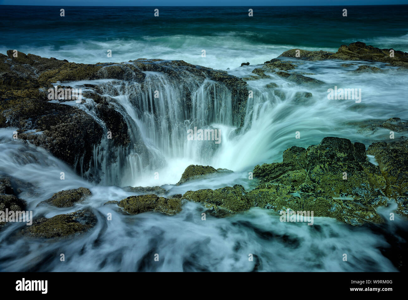 Siuslaw National Forest