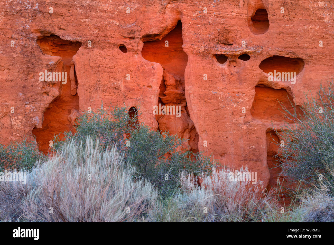 North America, American, USA, Southwest, Colorado Plateau, Utah, St ...