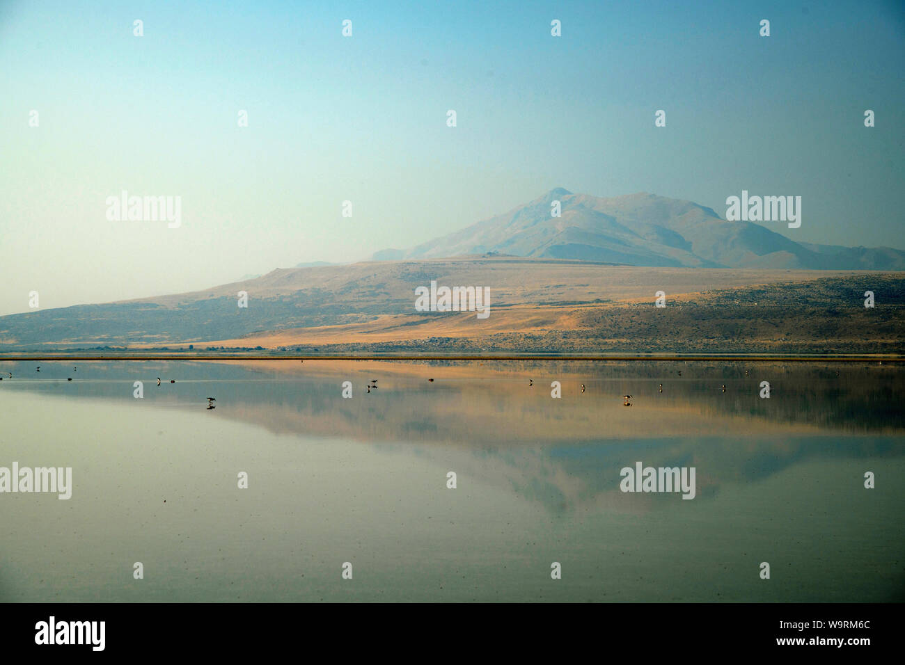 North America, American, USA, Great Basin, Utah, Antelope Island, State ...