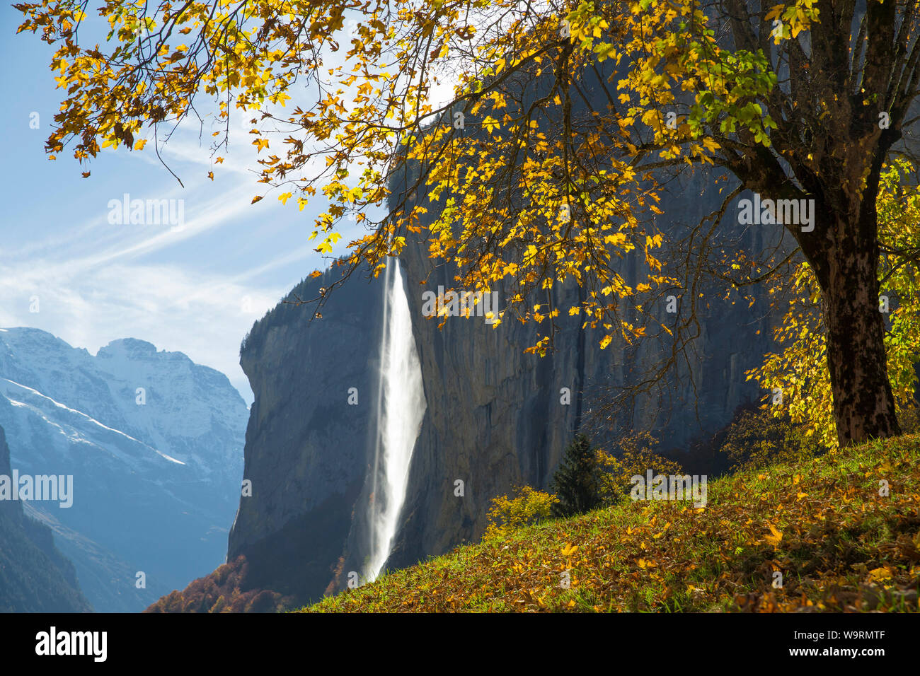 Staubbachfall im Lauterbrunnental *** Local Caption *** Stock Photo - Alamy