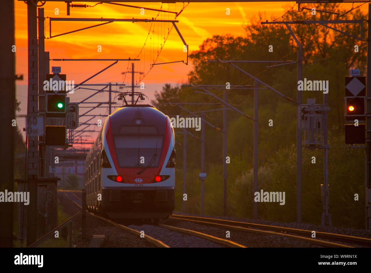 SBB Zug im Buriet *** Local Caption *** Stock Photo - Alamy