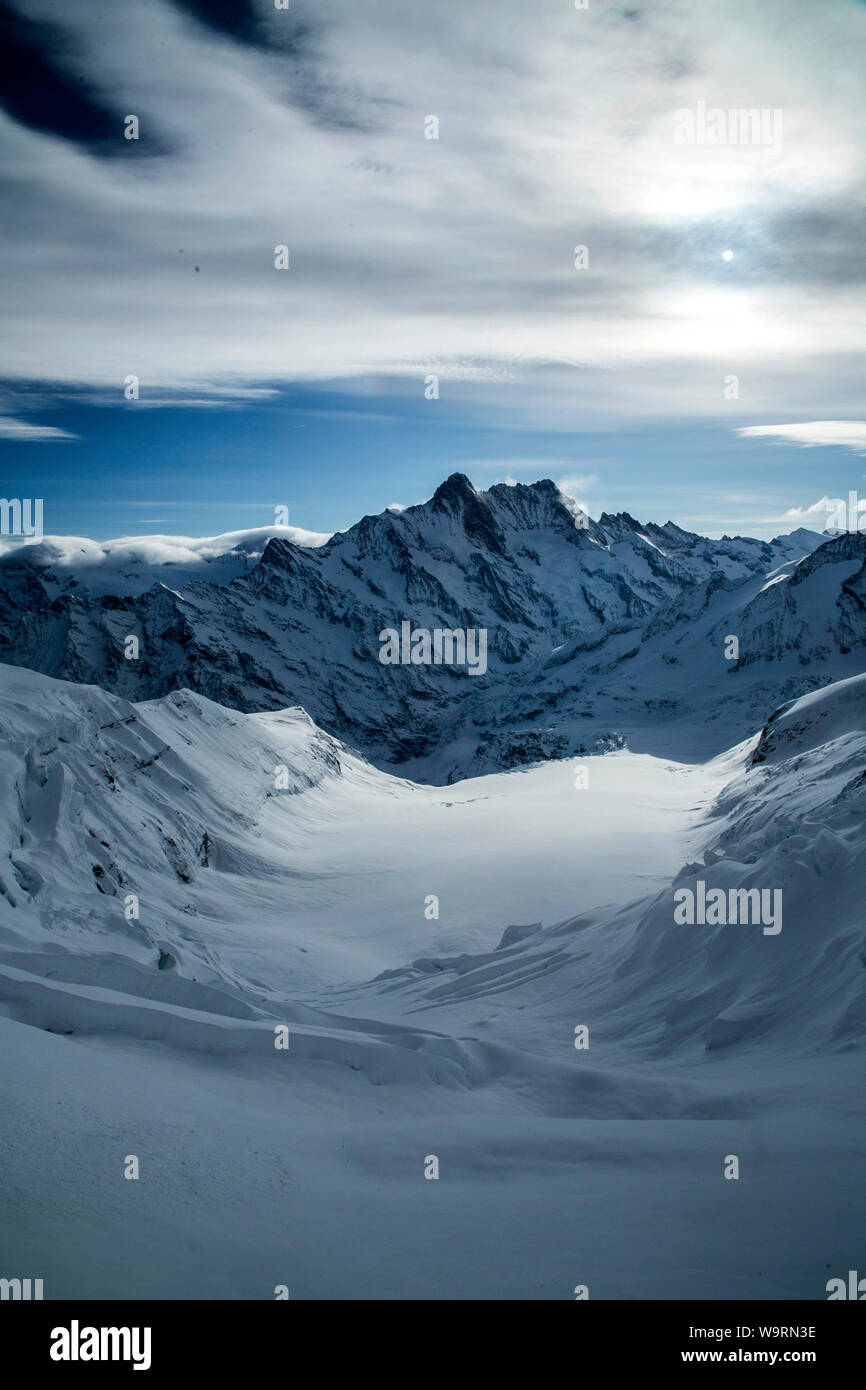 Ausblick auf Eismeer *** Local Caption *** Stock Photo - Alamy