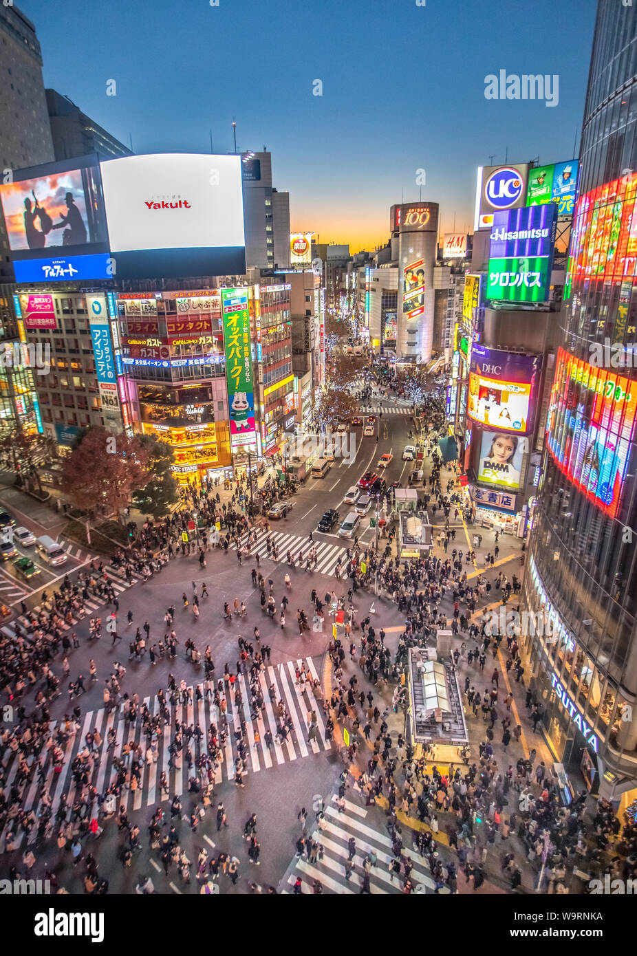 Japan, Tkyo City, Shibuya Station, Hachiko Crossing, 30069990 *** Local ...