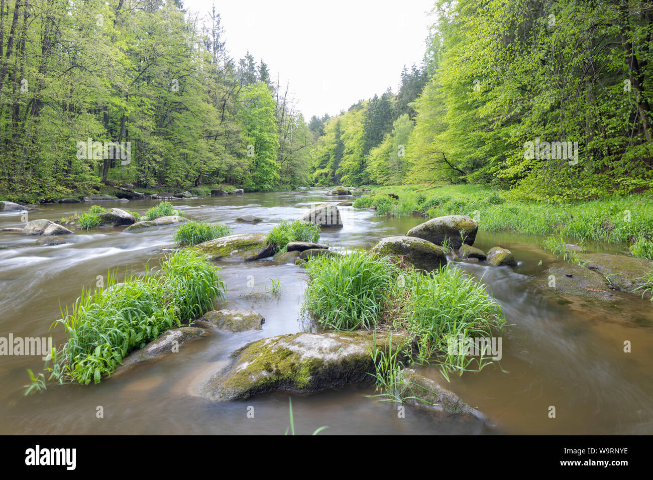 Sazava river hi-res stock photography and images - Alamy