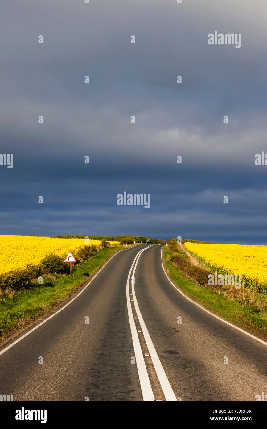 England, Yorkshire, Empty Road, Rape Fields and Dark Sky, 30064053 ...