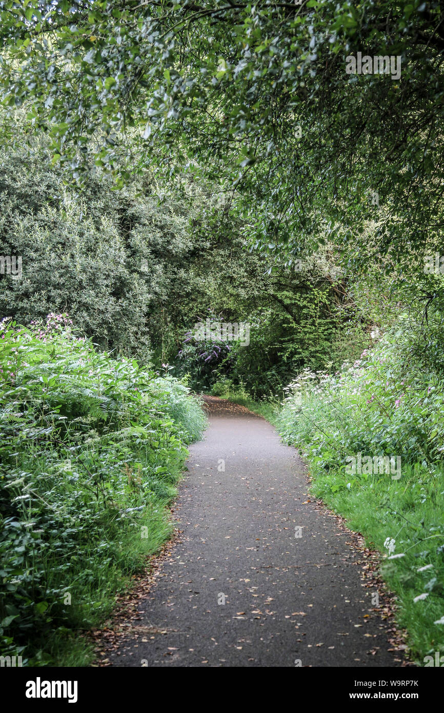 Pathway amongst greenery hi-res stock photography and images - Alamy