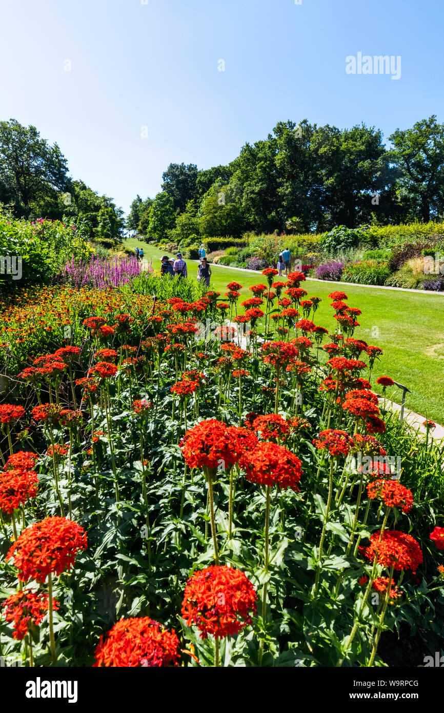 England, Surrey, Guildford, Wisley, The Royal Horticultural Society ...