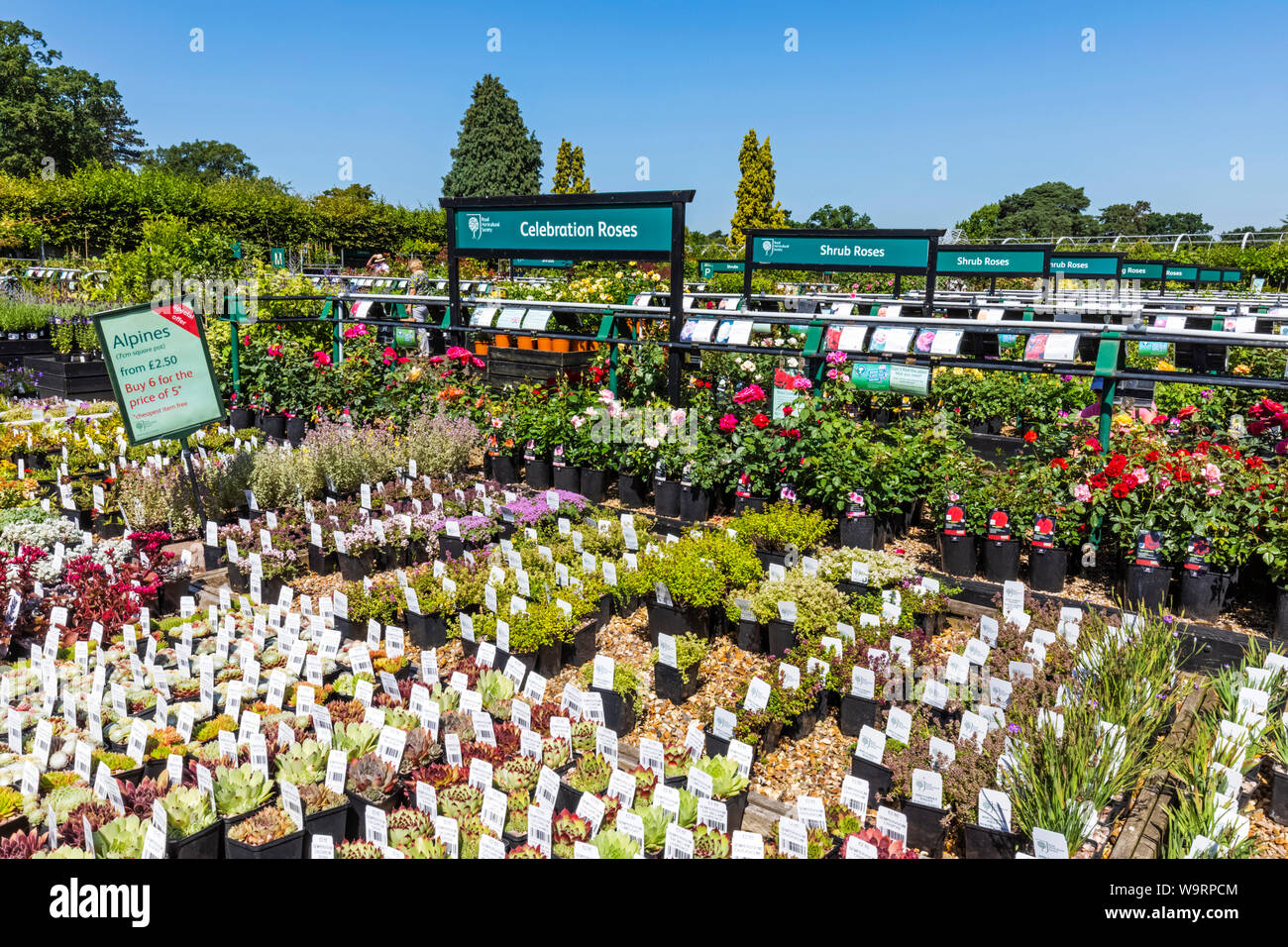 Rhs wisley garden centre hi-res stock photography and images - Alamy