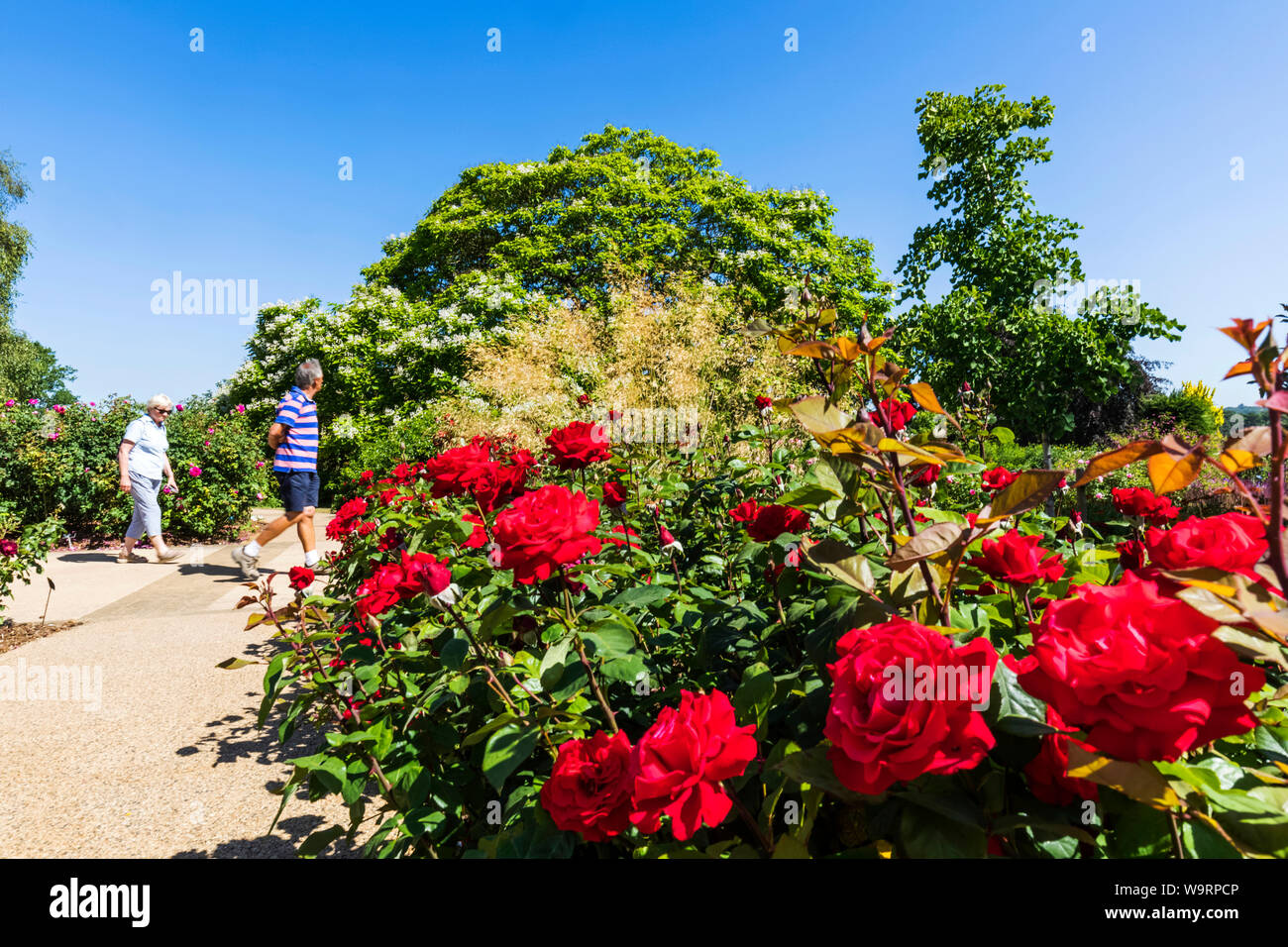 England, Surrey, Guildford, Wisley, The Royal Horticultural Society ...