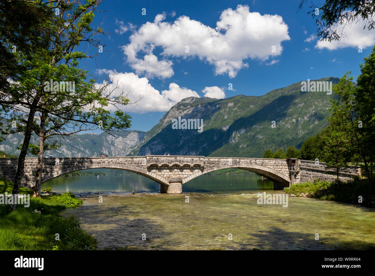Lake Bohinj in Triglav national park, Slovenia Stock Photo - Alamy