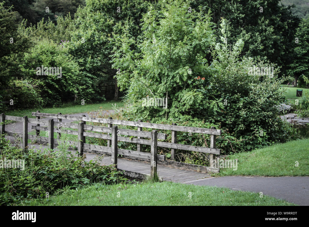 Foot bridge over forest hi-res stock photography and images - Alamy