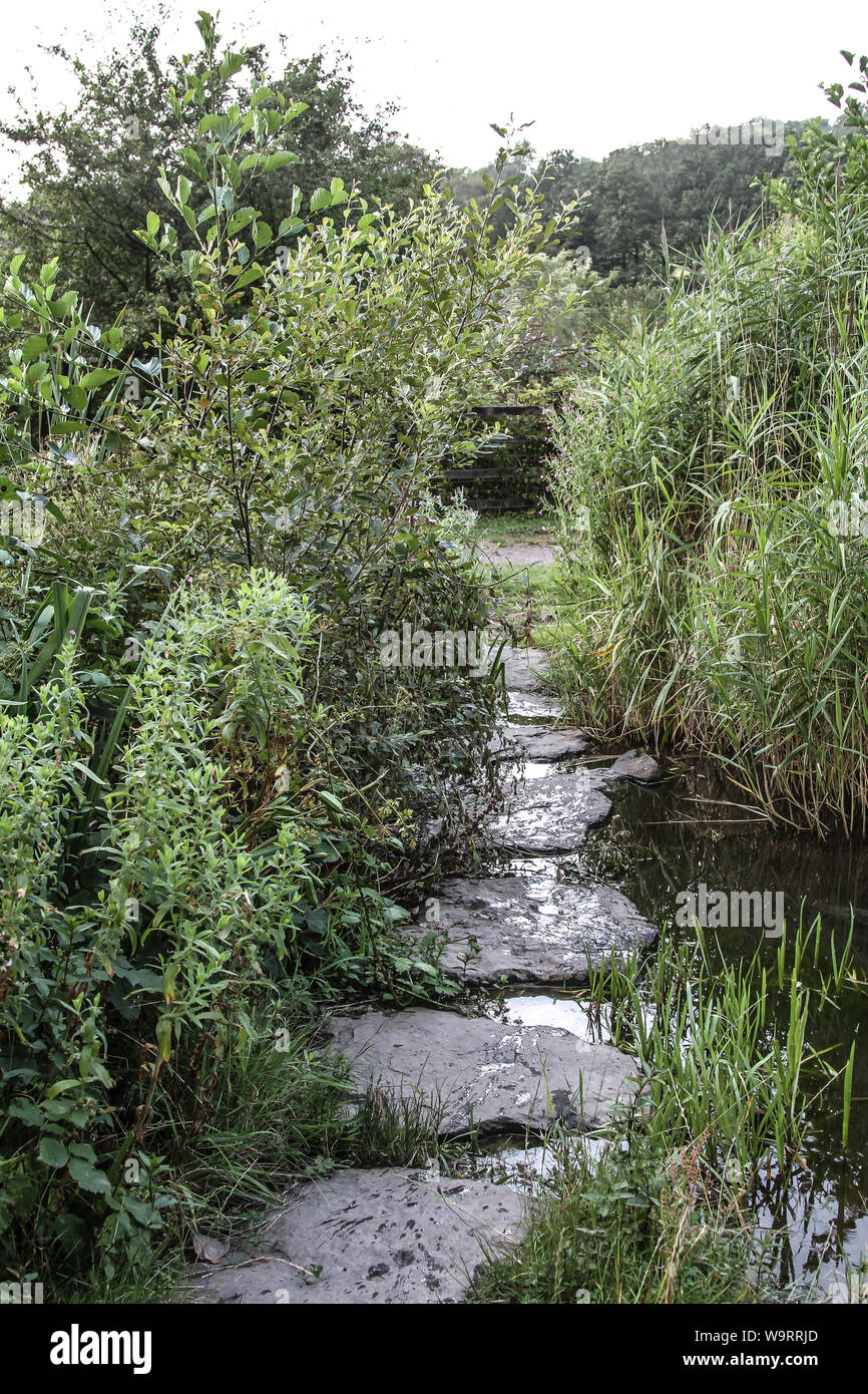 Stepping stones pond hi-res stock photography and images - Alamy
