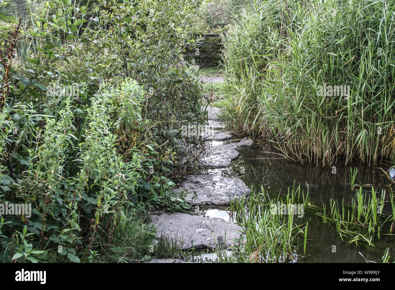 Natural Stepping Stones Across Small Pond Stock Photo - Alamy