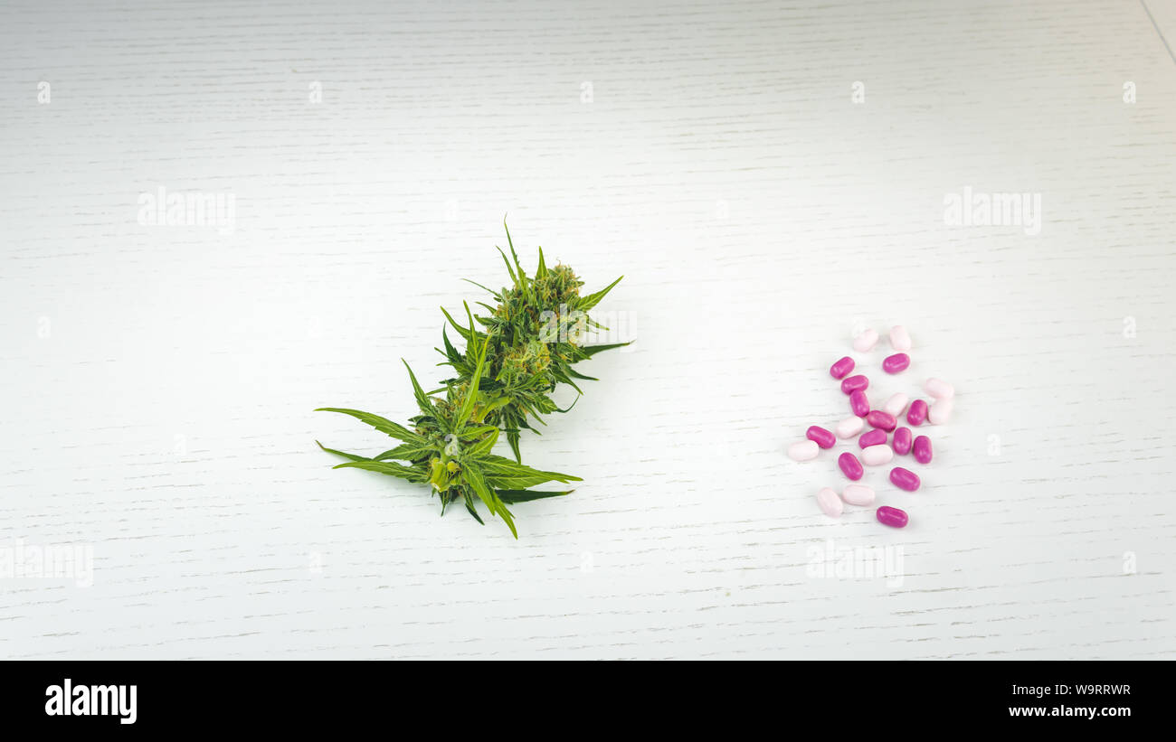 medical marijuana buds and pills are on the white table. Cannabis is a ...