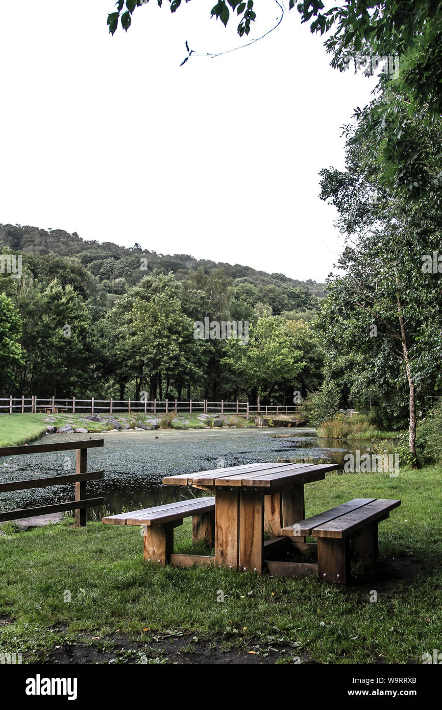 Bench overlooking pond hi-res stock photography and images - Alamy