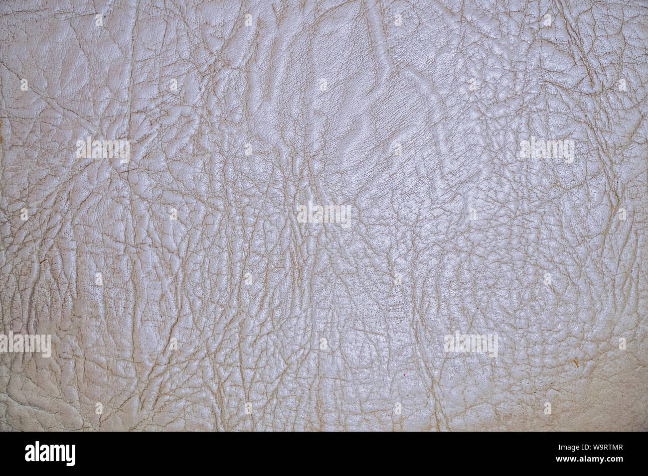 Old white skin texture with folds on surface Stock Photo - Alamy