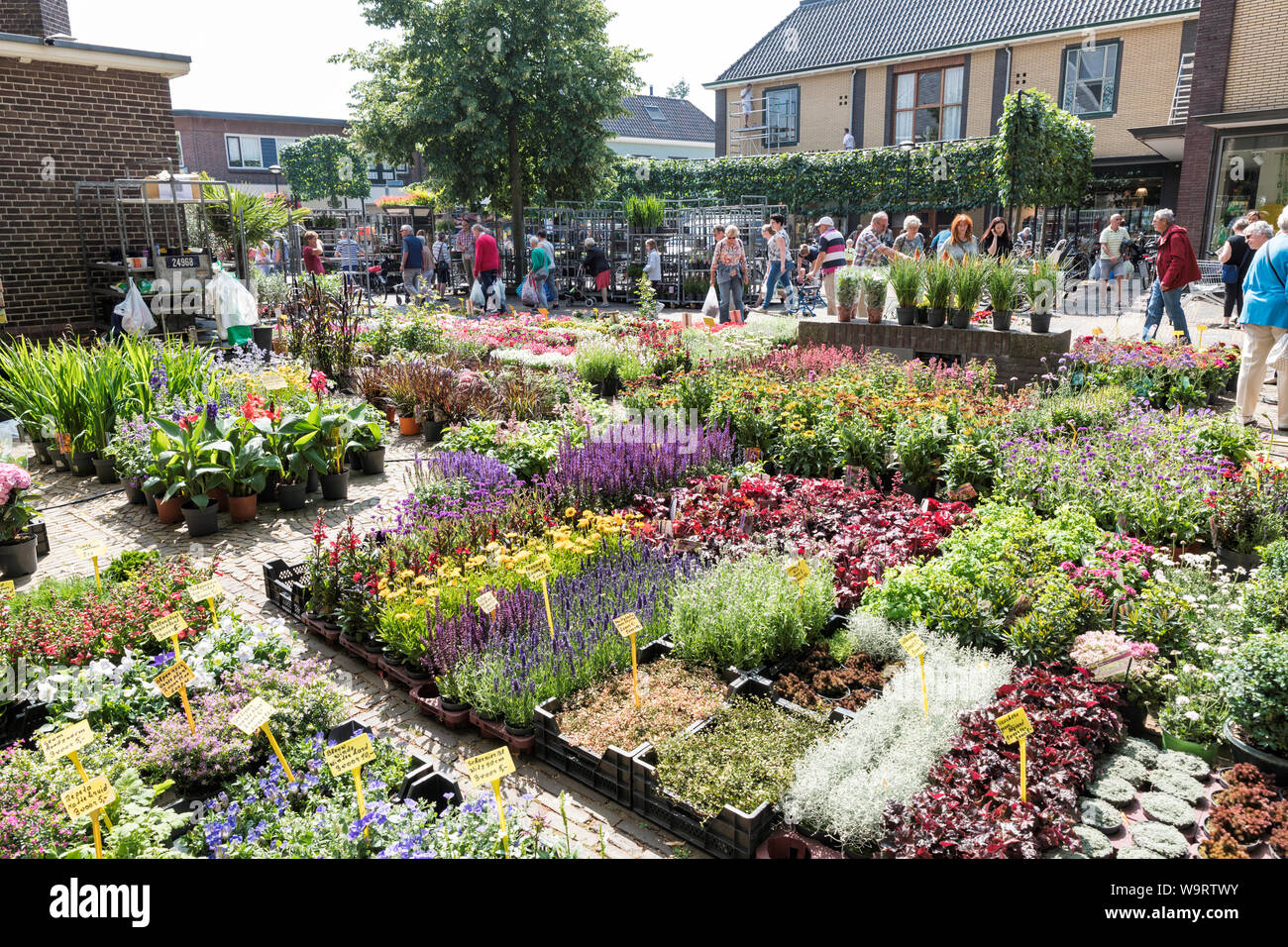 PuttenHolland,17-july-2019:Man selling flowers on the market in putten ...