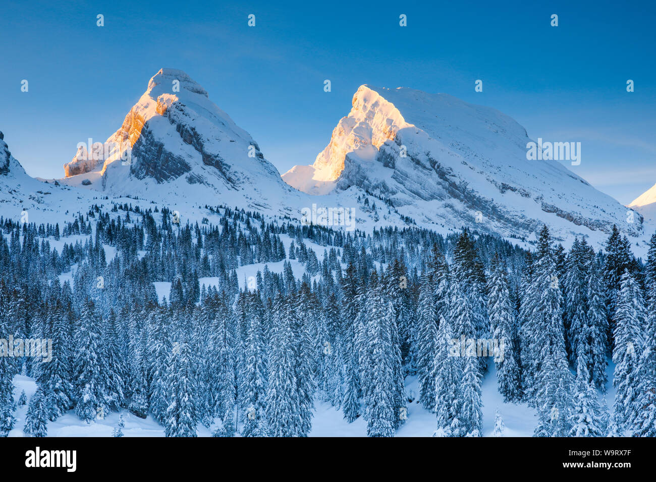 Churfirsten zuestoll hi-res stock photography and images - Alamy