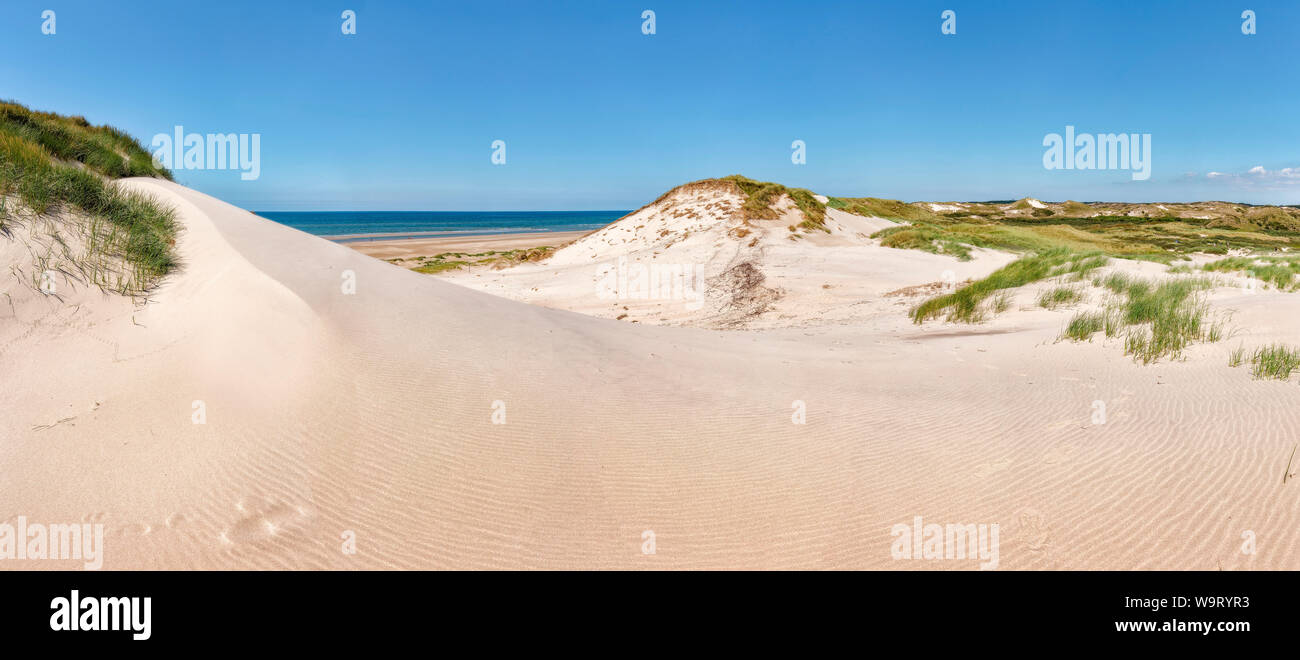 Dunes at the North-Holland Dunes nature reserve, beach and the North ...