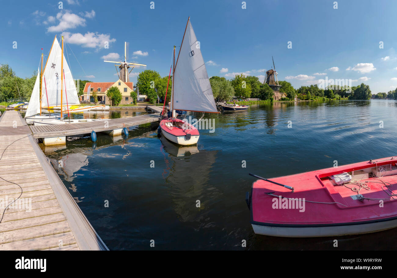 Windmills “De Lelie” and “De Ster” at the border of Lake Kralingen ...