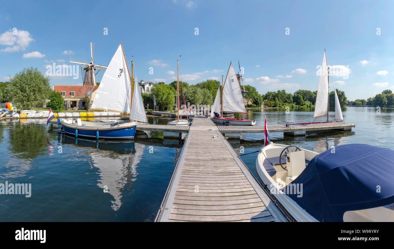 Windmills “De Lelie” and “De Ster” at the border of Lake Kralingen ...