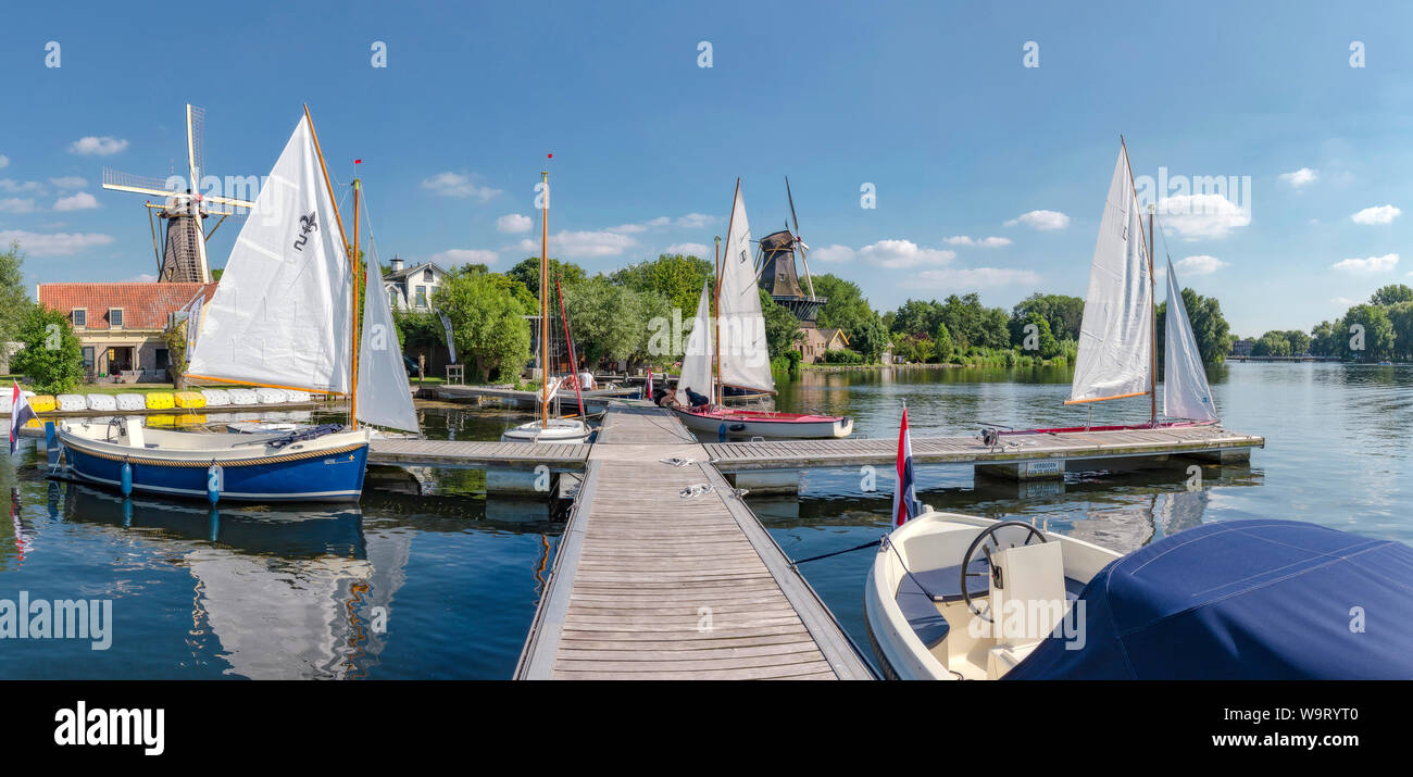 Windmills “De Lelie” and “De Ster” at the border of Lake Kralingen ...
