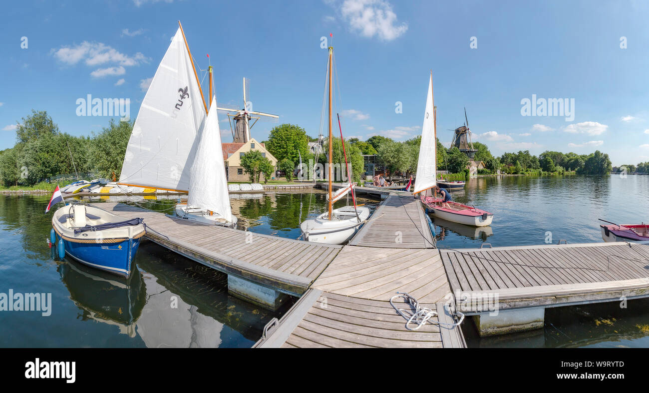 Windmills “De Lelie” and “De Ster” at the border of Lake Kralingen ...