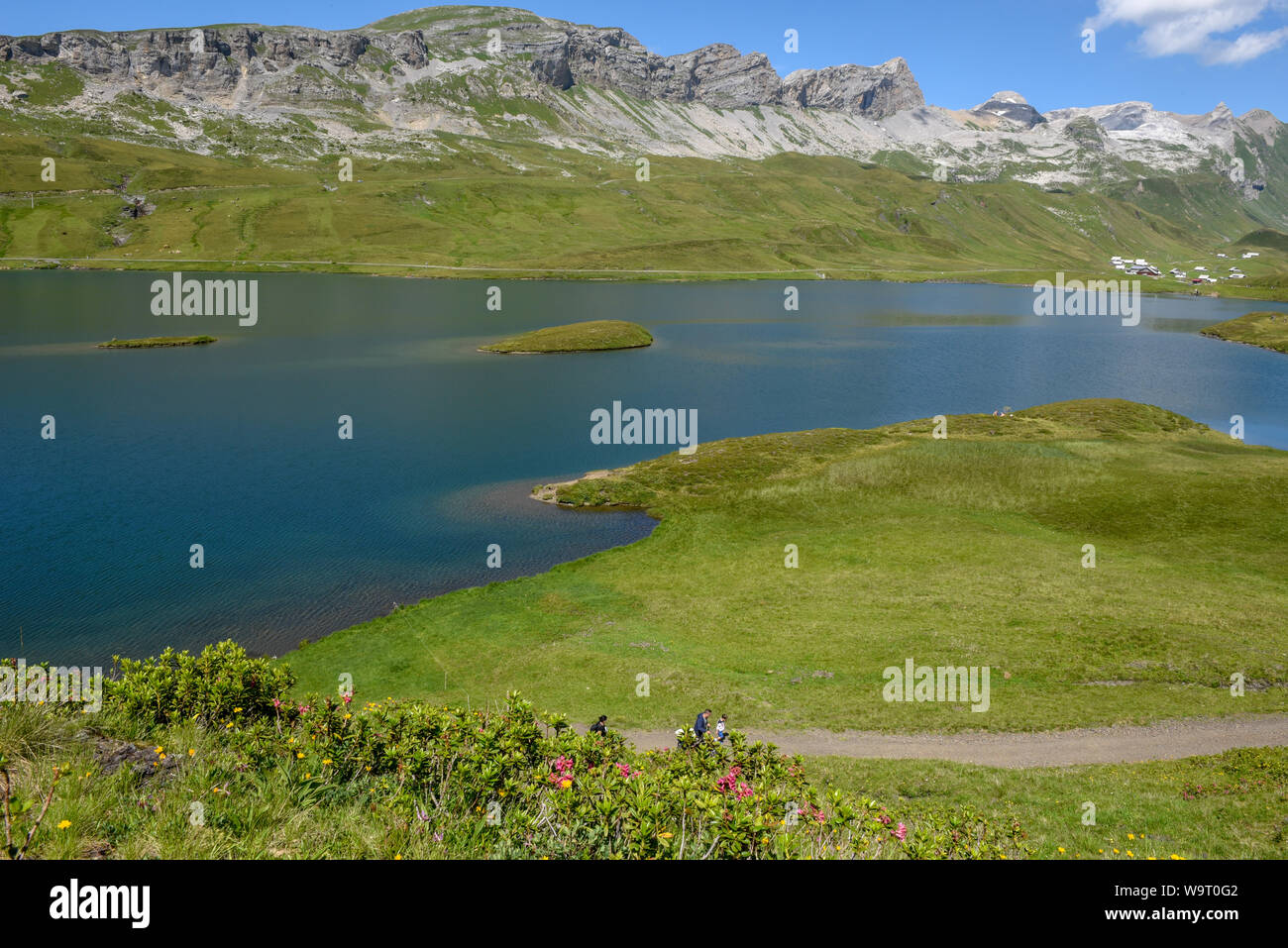 Tannensee hi-res stock photography and images - Alamy