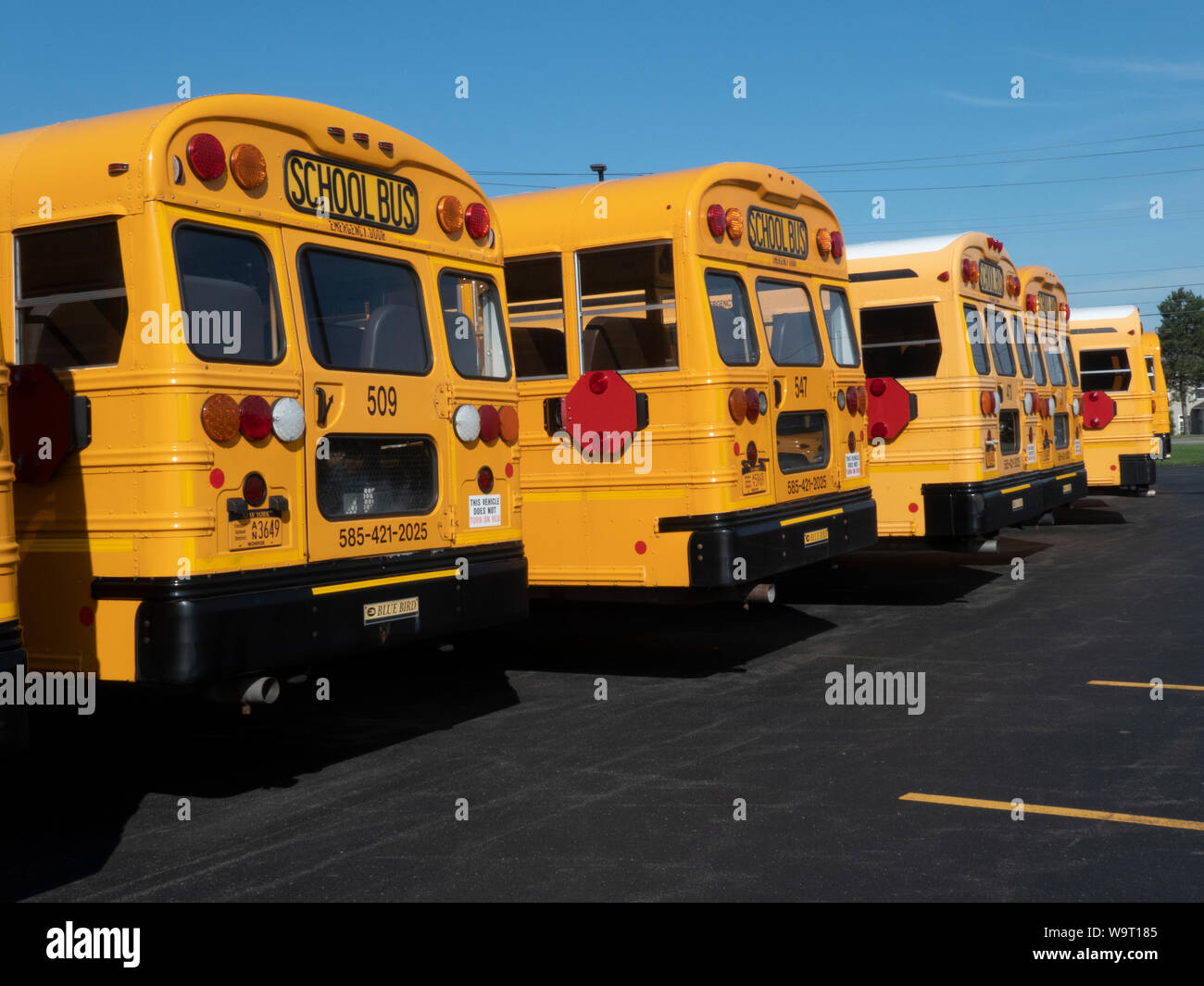 School buses parked on lot Stock Photo - Alamy