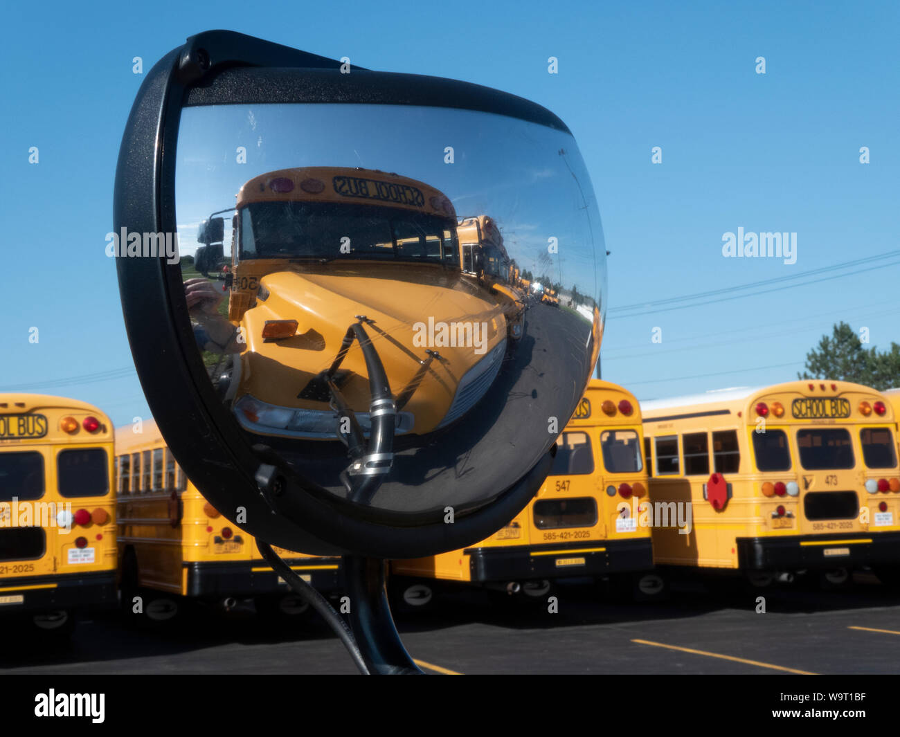 School buses parked on lot Stock Photo - Alamy