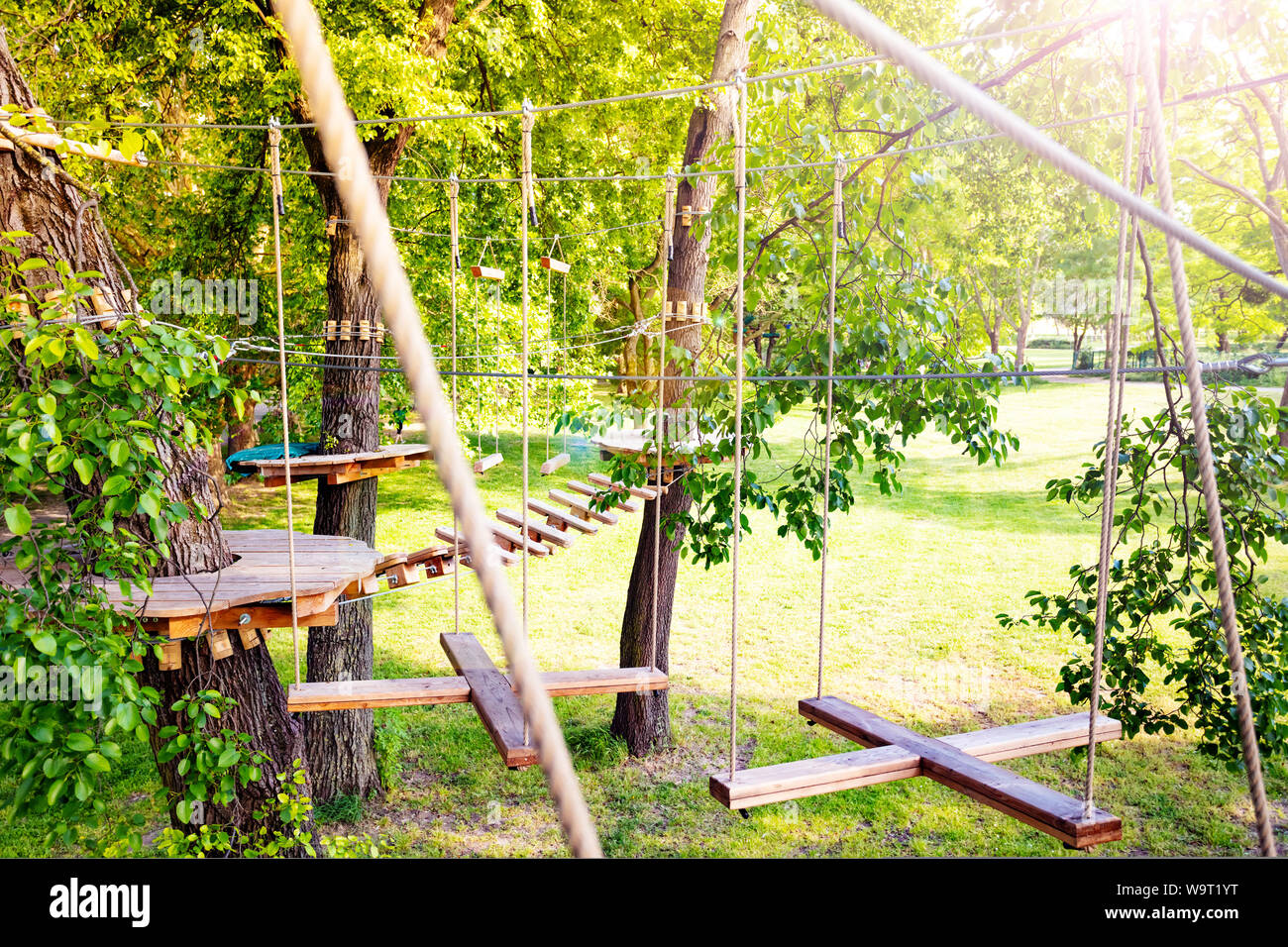 Forest rope park for kids suspended on the trees Stock Photo - Alamy
