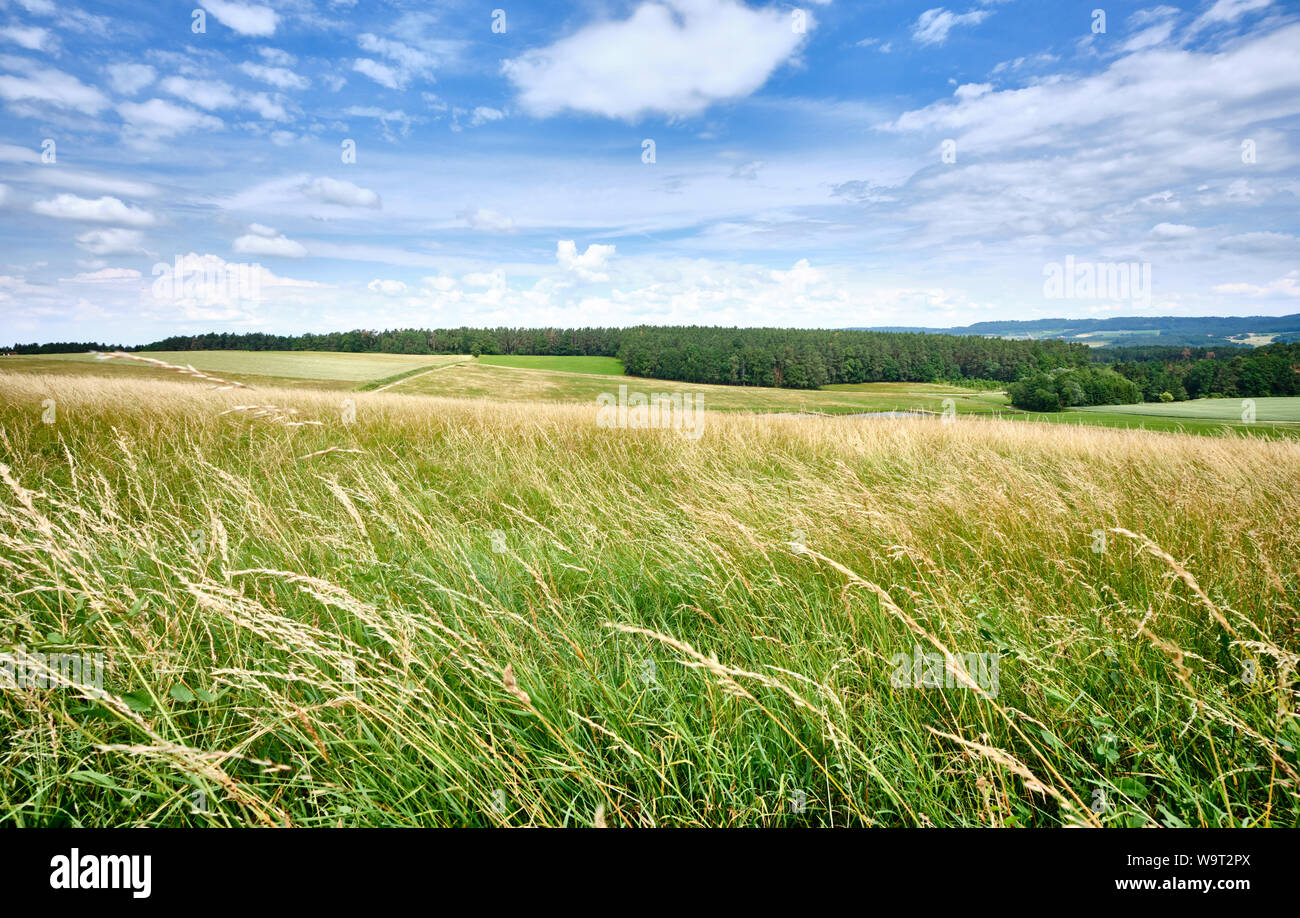 Beautiful german summer landscape in the Bavarian countryside with ...