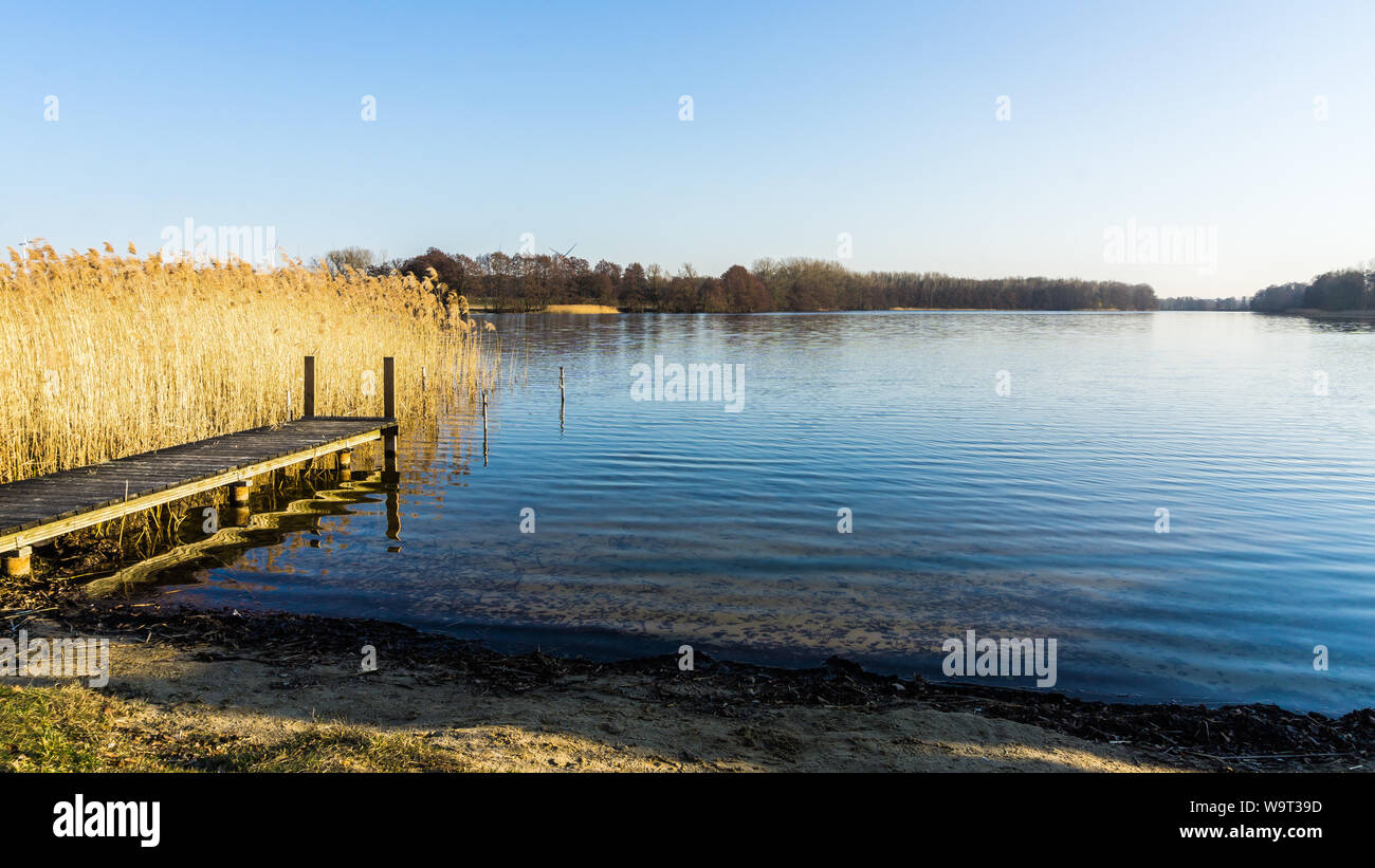 landscape with jetty at a lake and reed grass Stock Photo - Alamy