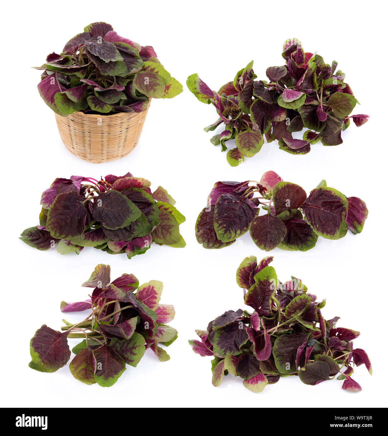 red spinach isolated on white background Stock Photo - Alamy