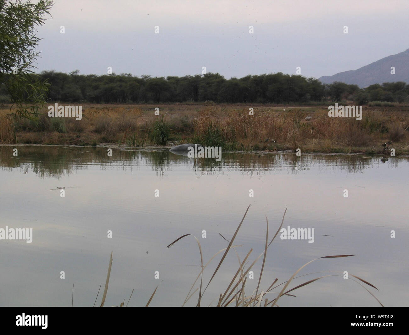 Kwando river hi-res stock photography and images - Alamy