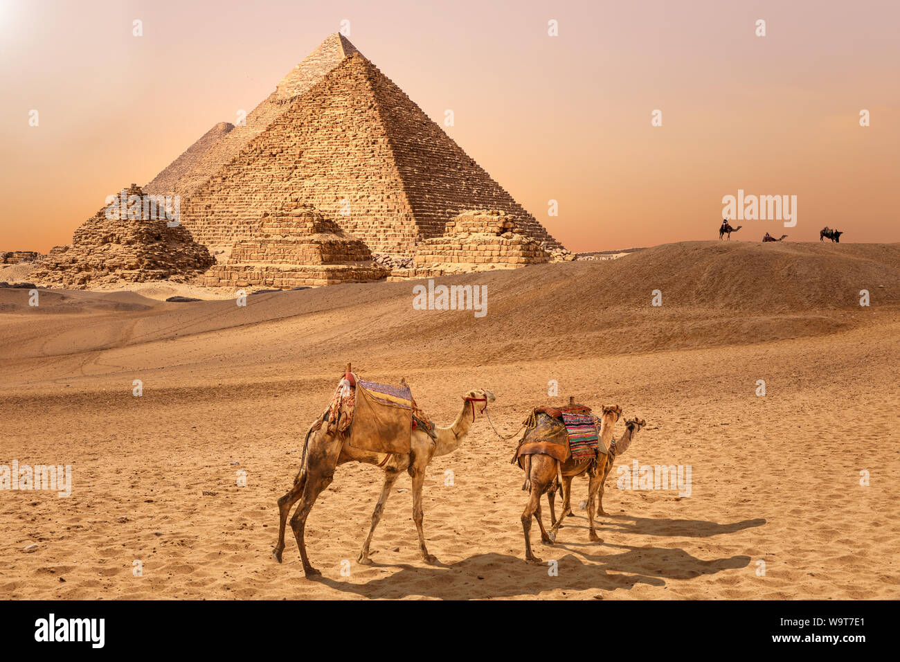 The Pyramids and camels in the Giza desert, Egypt Stock Photo - Alamy