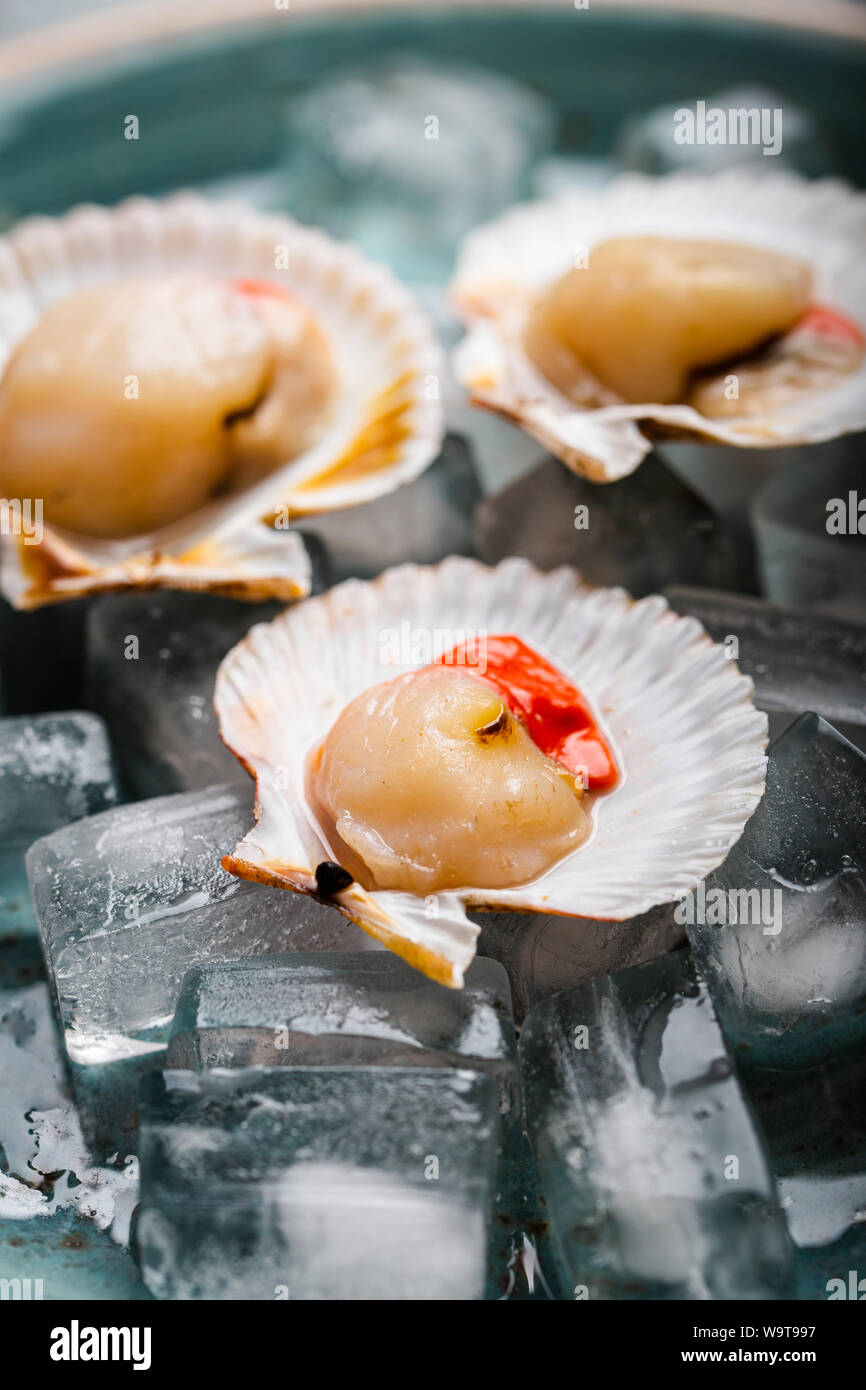 Plate fresh raw scallops hi-res stock photography and images - Alamy