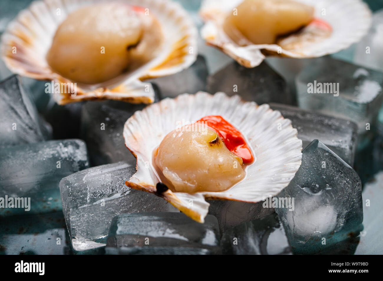 Uncooked scallop hi-res stock photography and images - Alamy