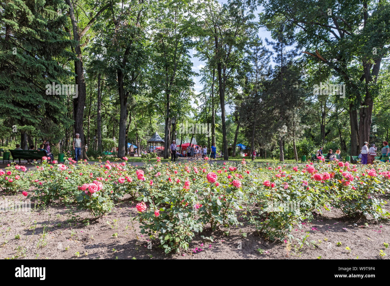 Pushkin park hi-res stock photography and images - Alamy
