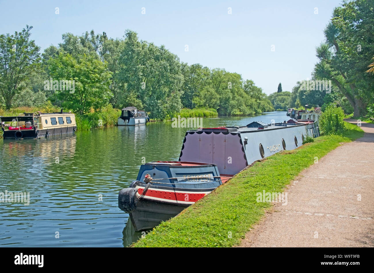 Ware Narrow Boat on River Lea Hertfordshire Stock Photo - Alamy