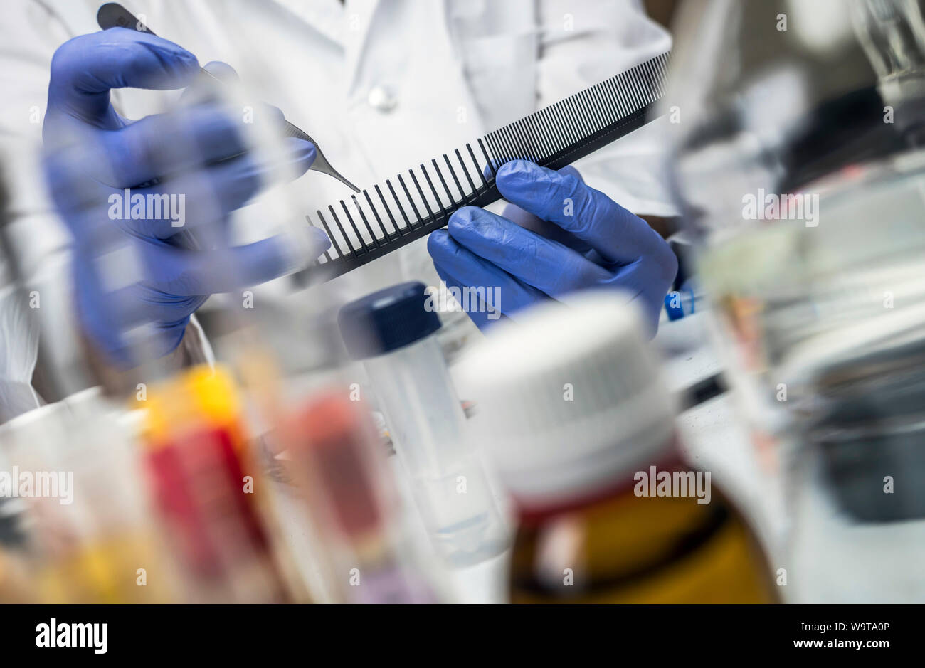 Scientist Police hold murder victim comb to find dna in crime lab ...