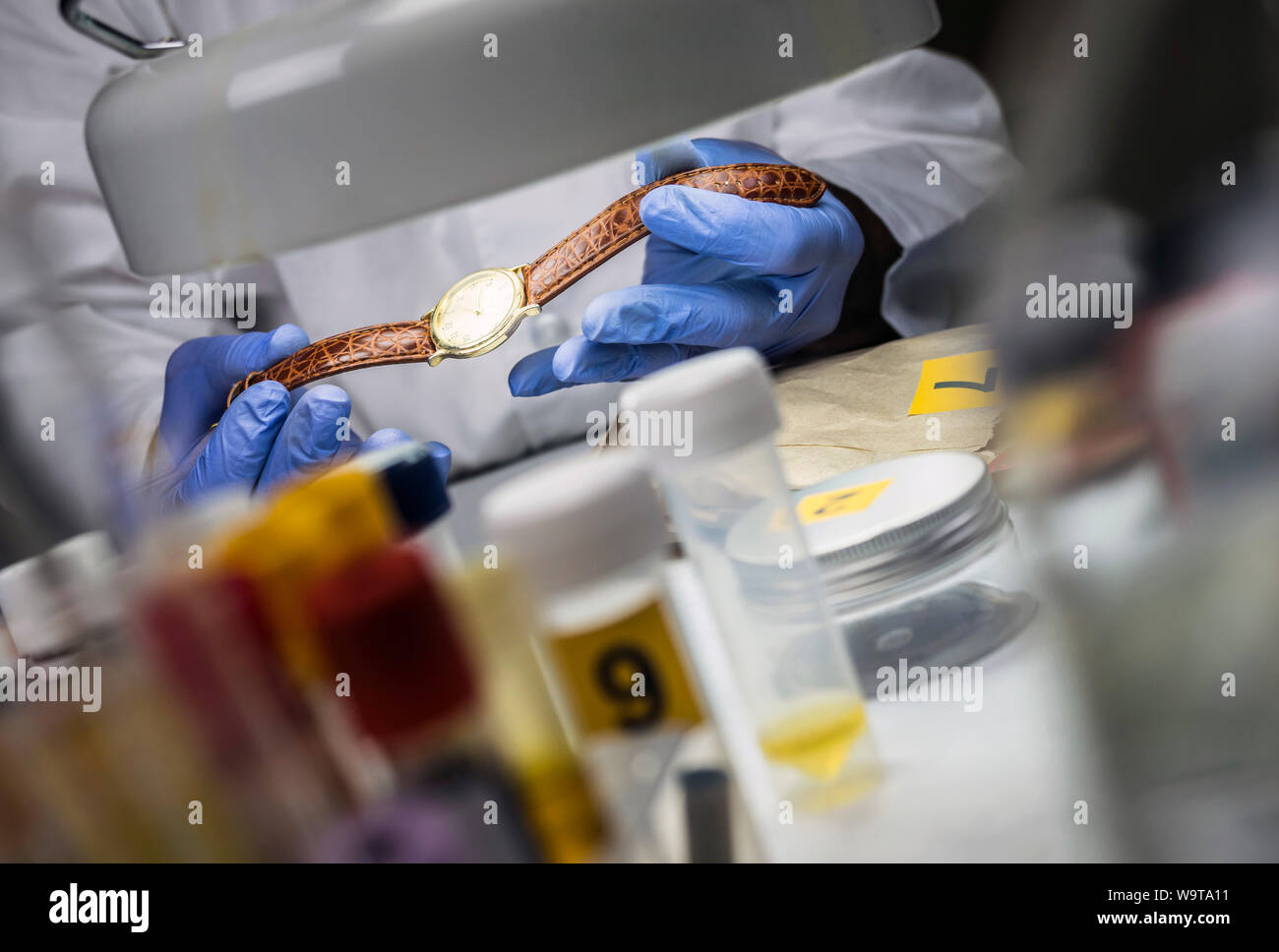 Police scientist working in Criminalistic Lab, victim clock analysis ...