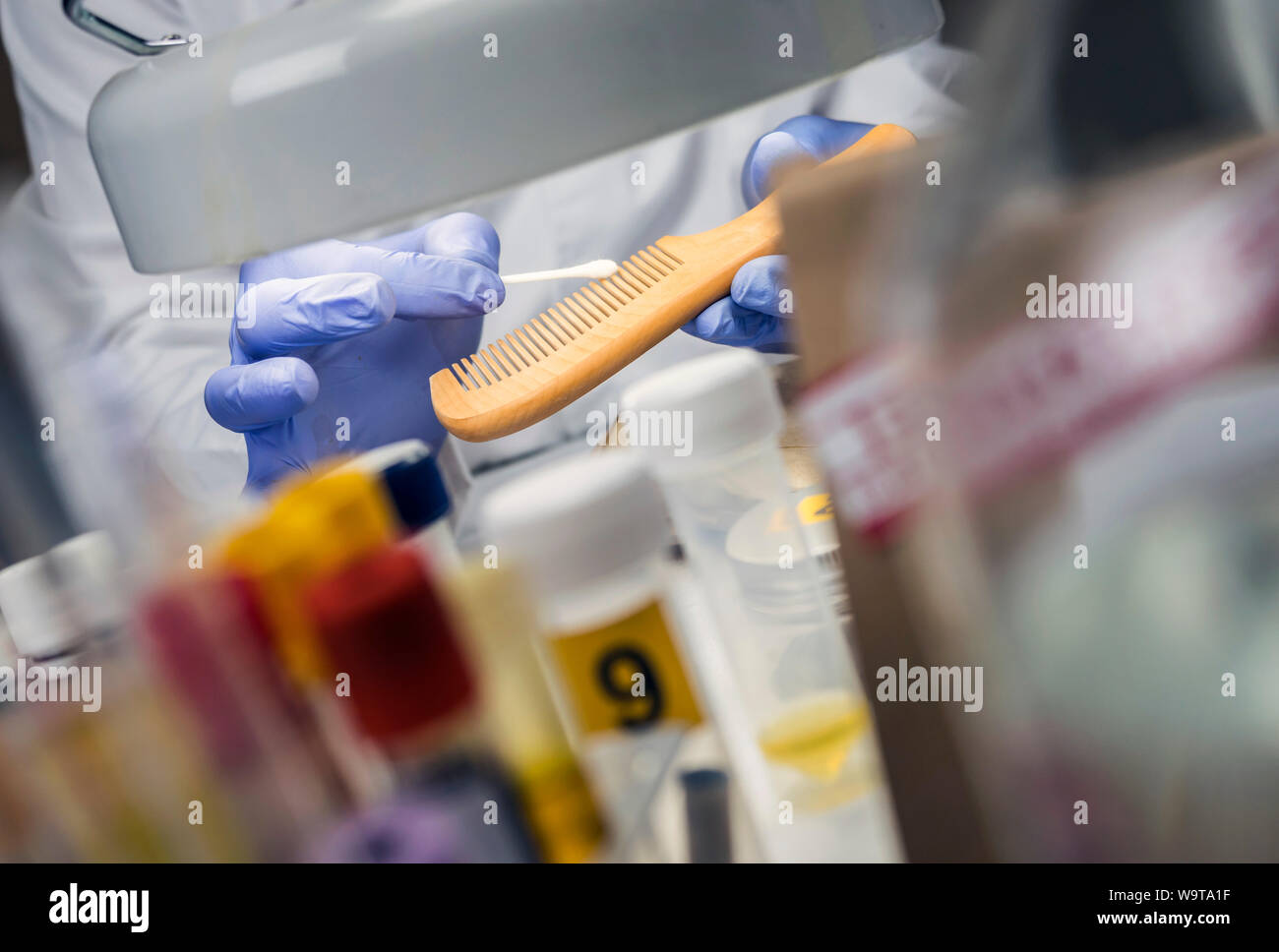 Scientist Police hold murder victim comb to find dna in crime lab ...