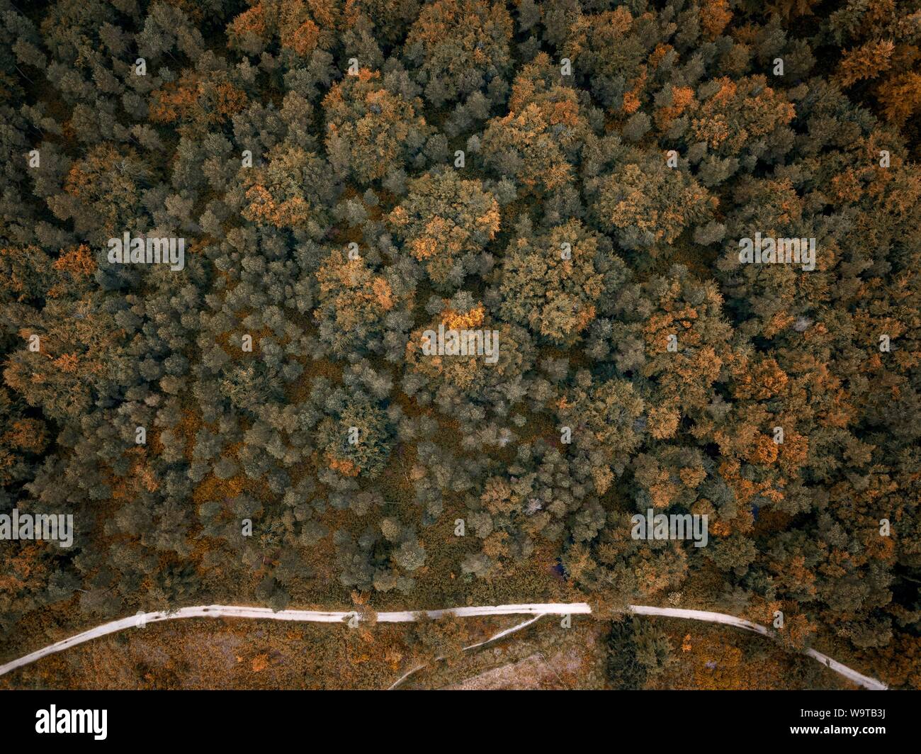 Aerial flight overhead autumn tree hi-res stock photography and images ...